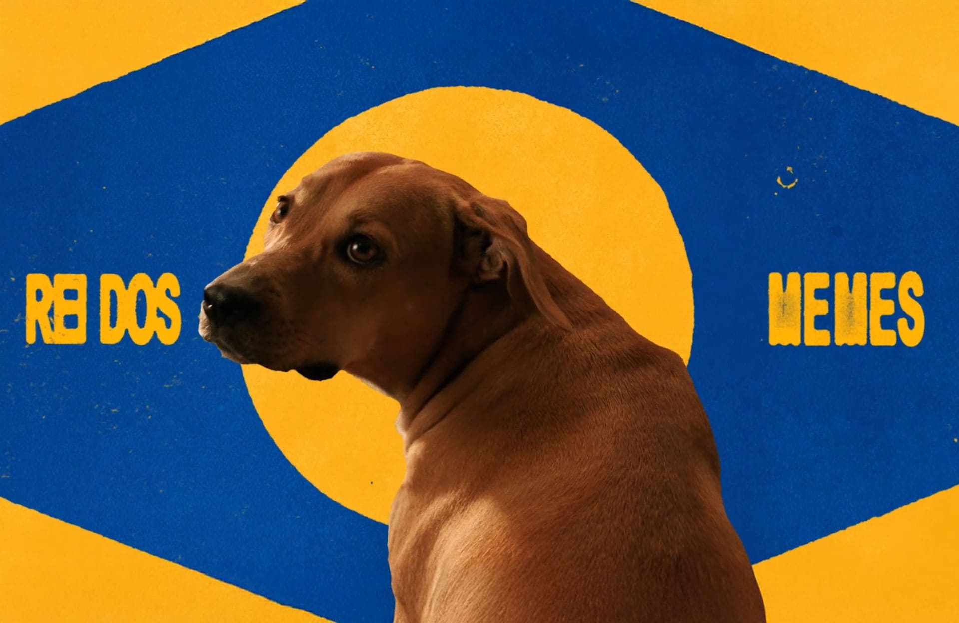 AlmapBBDO tem três chances em Creative Effectiveness com Pedigree ...
